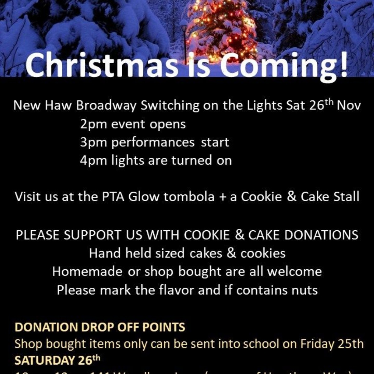 New Haw Community School - The Broadway Christmas light's switch on