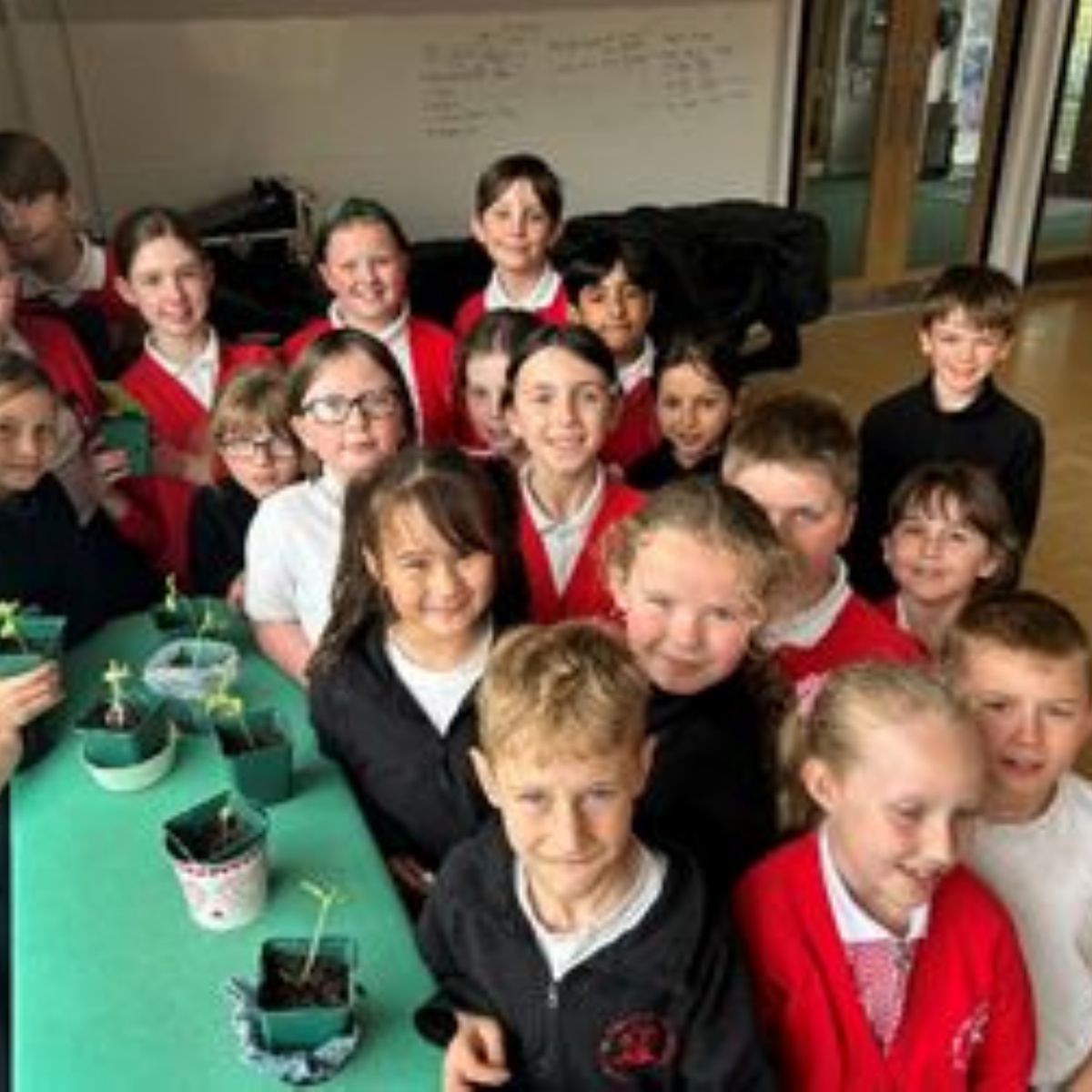 New Haw Community School - Ready, Steady, Grow!